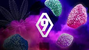 Key Things You Need to Know About Hemp-Derived Delta 9 THC Here in 202 ...